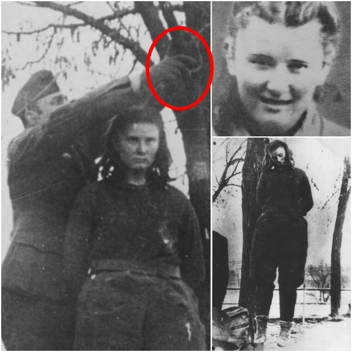 Lepa Radic Yugoslav Partisan, Order of the People’s Hero – Alan Malcher